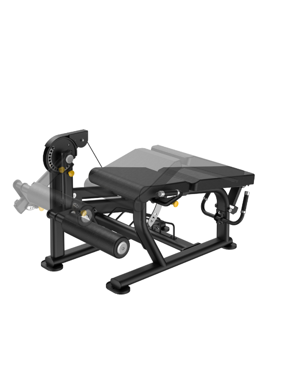 Hudson Steel Definition Leg Extension/Prone Leg Curl Combo – Spokane ...